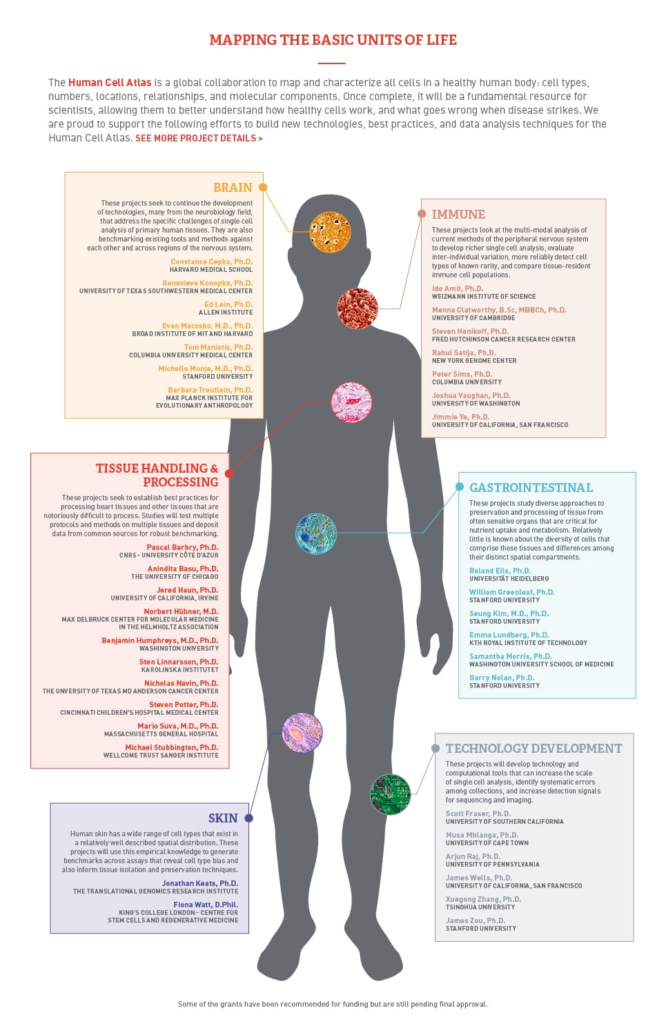 38 Human Cell Atlas pilot projects funded by Chan Zuckerberg Initiative